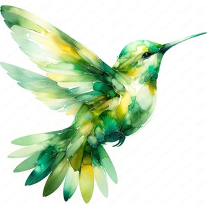 Hummingbird Clipart Abstract Clipart 10 High Quality JPG Wall Art Paper ...
