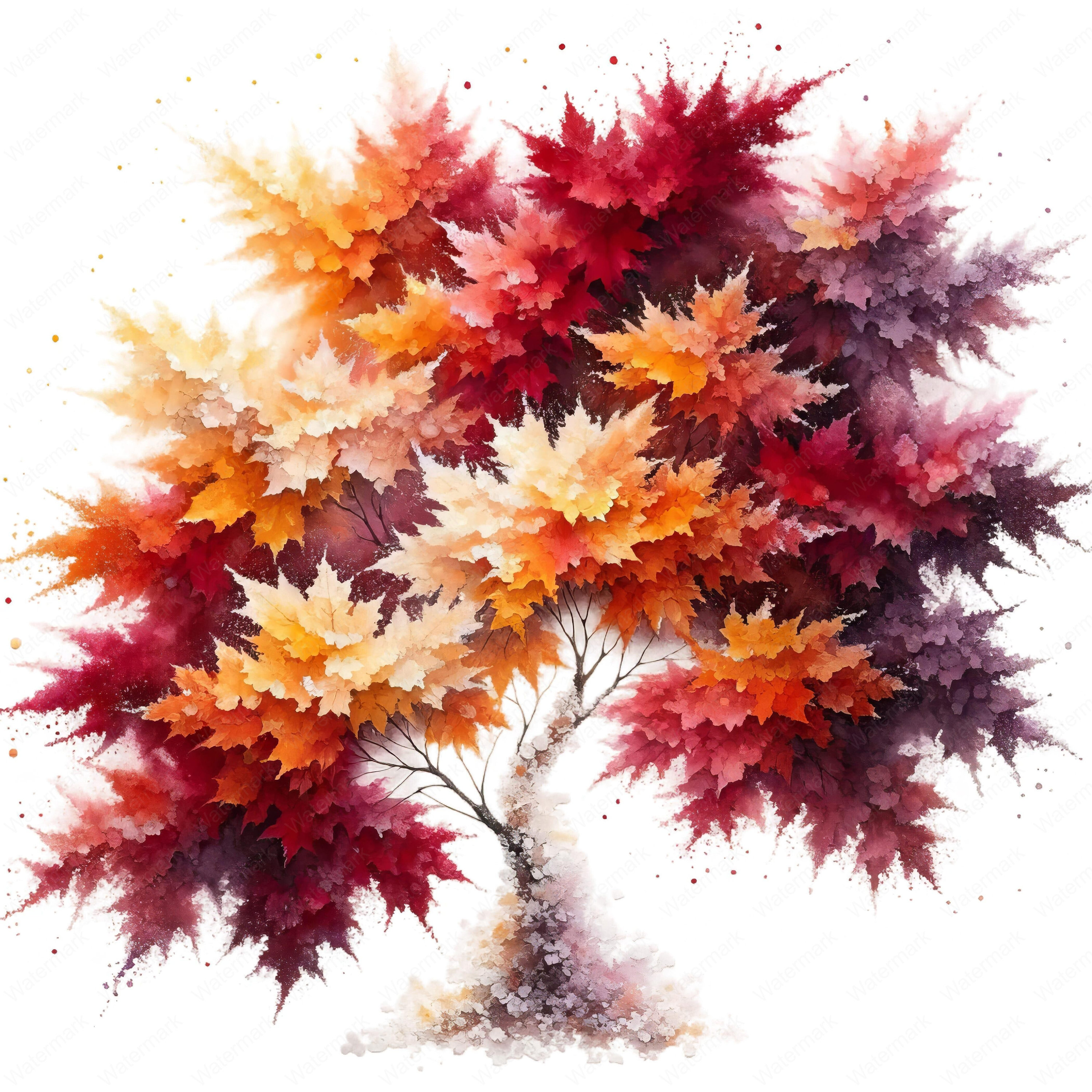 Autumn Maple Tree Clipart Bundle: Vibrant Fall Art (digital Download ...