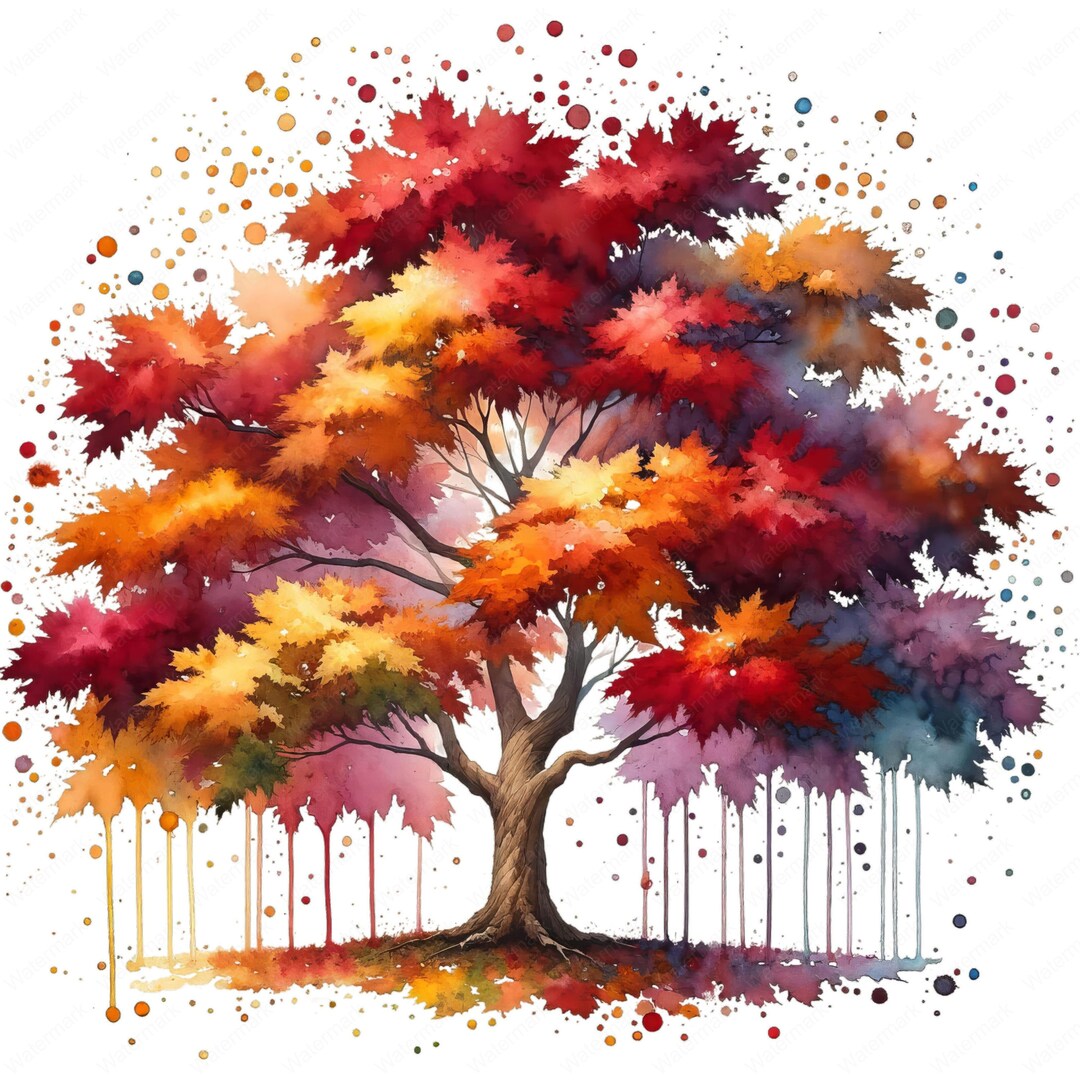 Autumn Maple Tree Clipart Bundle: Vibrant Fall Art (digital Download ...