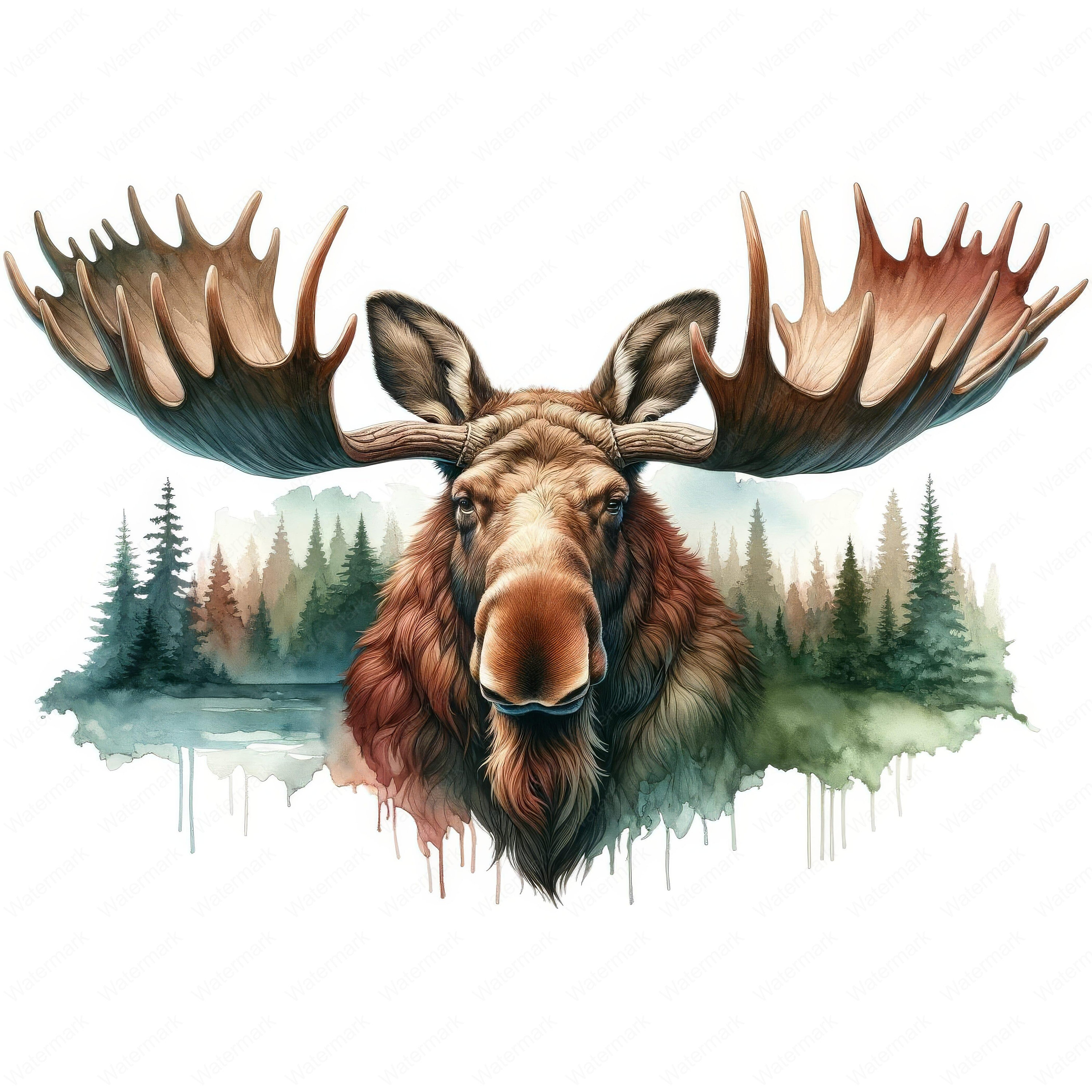 Majestic Moose Clipart Bundle | High-quality Digital Prints (commercial ...