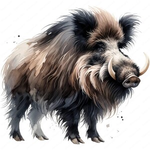 Wild Boar Clipart | Clipart Bundle | 10 High-quality Designs | Wall Art ...