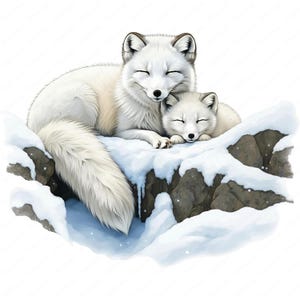 Cozy Arctic Fox Clipart Bundle: Winter Animal Art (digital Download) - Etsy