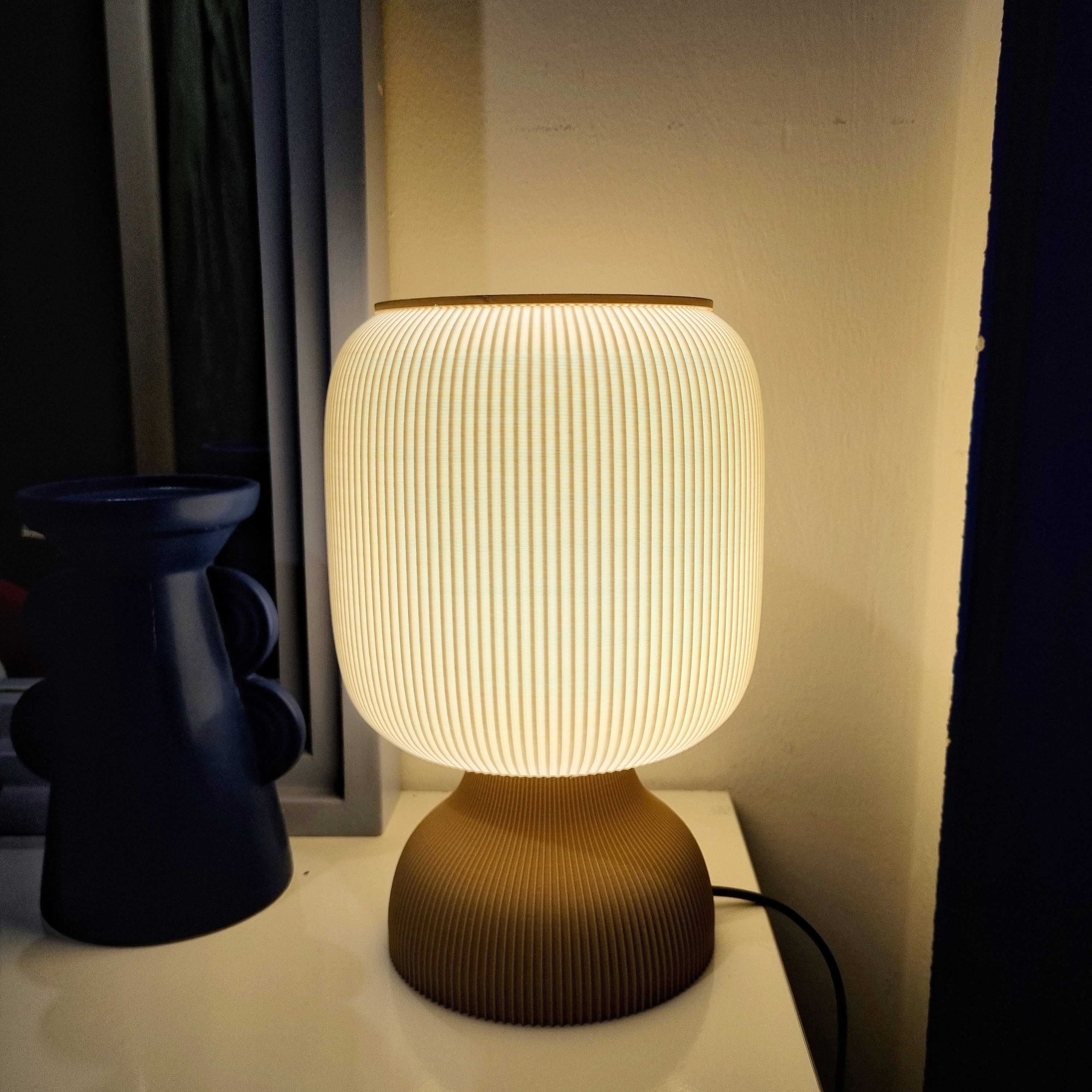 Ecolamp Rev 02 3D Printed Minimalist Unique Design Objects Perfect for ...