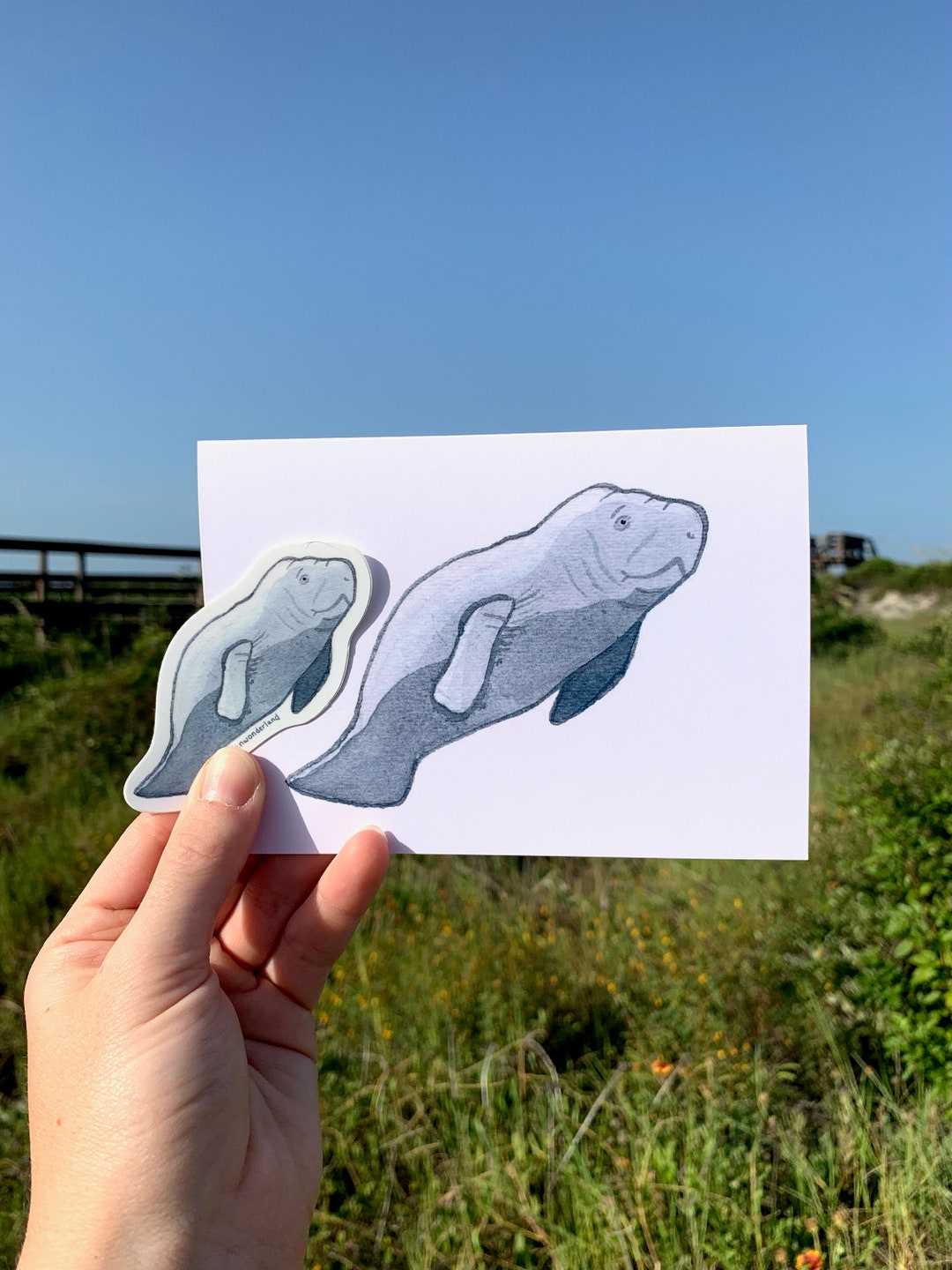 Manatee Note Card Sticker Set, Blank Card, Greeting Card, Animal Card ...