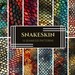 Snakeskin Seamless Pattern Set: Multicolor Exotic Designs (PNG) - Etsy