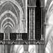 Gothic Cathedral Architecture Pattern Pack - Majestic Arches & Stone ...