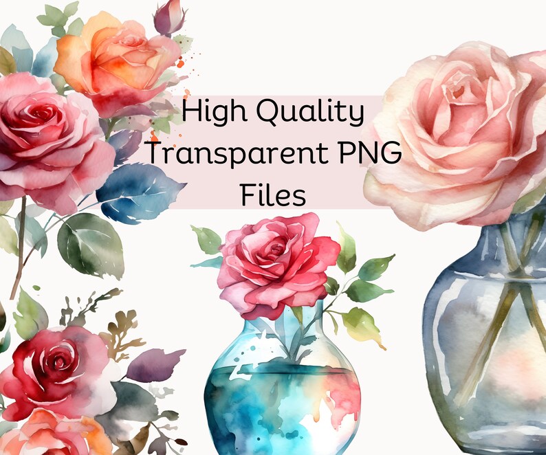 Watercolor Pink Rose Clipart Set 12 Floral Watercolor - Etsy