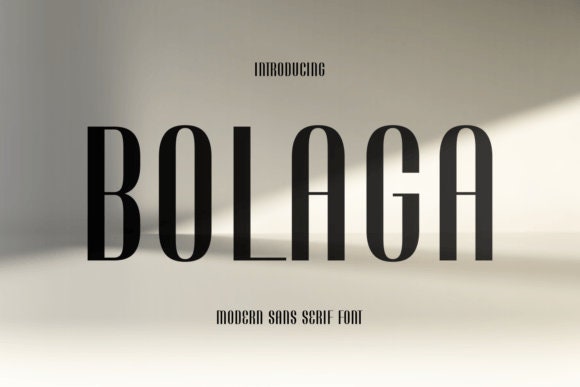 Bolaga Font, Elegant Font, Bold Font, Modern Font, Boho Font, Logo Font ...