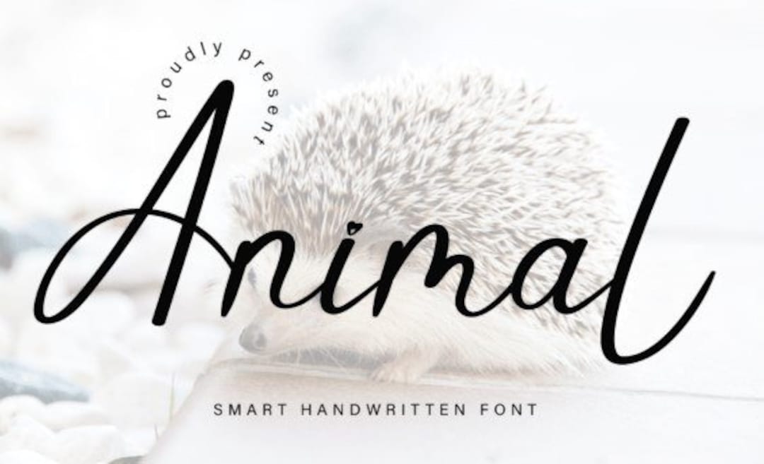 Animal Font, Serif Font, Modern Font, Display Font, Calligraphy Font ...