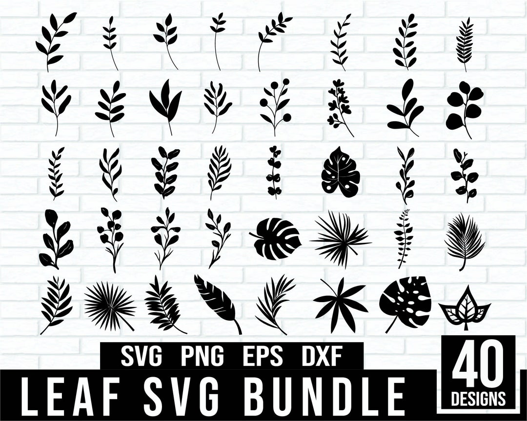 Leaf Svg Bundle, Hand Drawn Leaves SVG, Plant Svg, Paper Leaves, Leaf ...