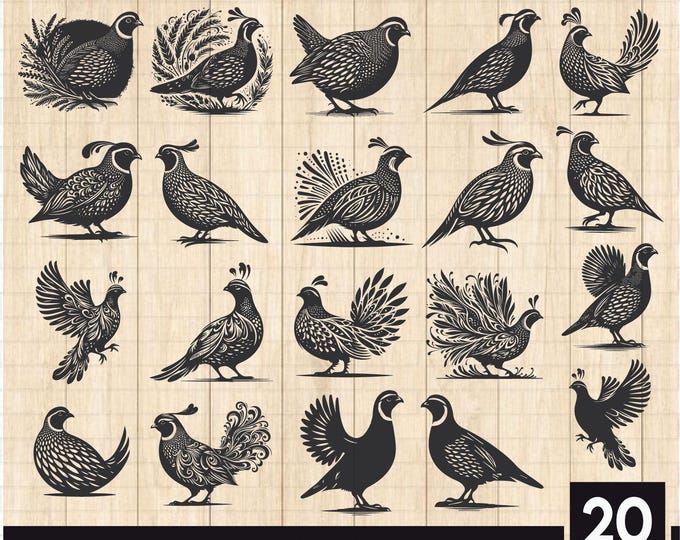 Quail SVG Bundle, Farm Bird Clipart, Quail Art, Digital Graphics ...