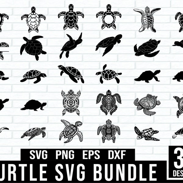 Turtle Svg - Etsy