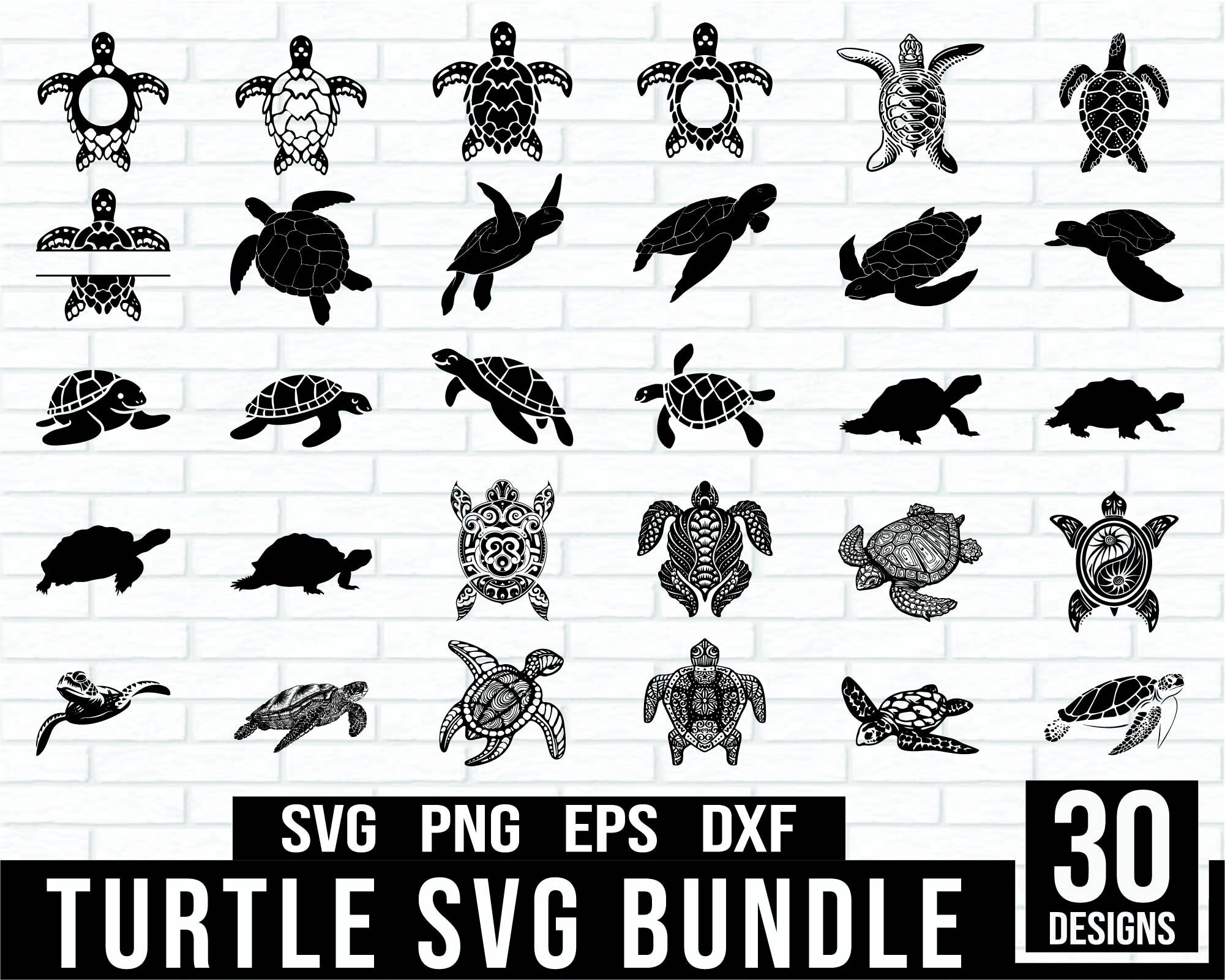Turtle Svg Bundle Sea Turtle Svg Sea Turtle Png Tortoise - Etsy UK