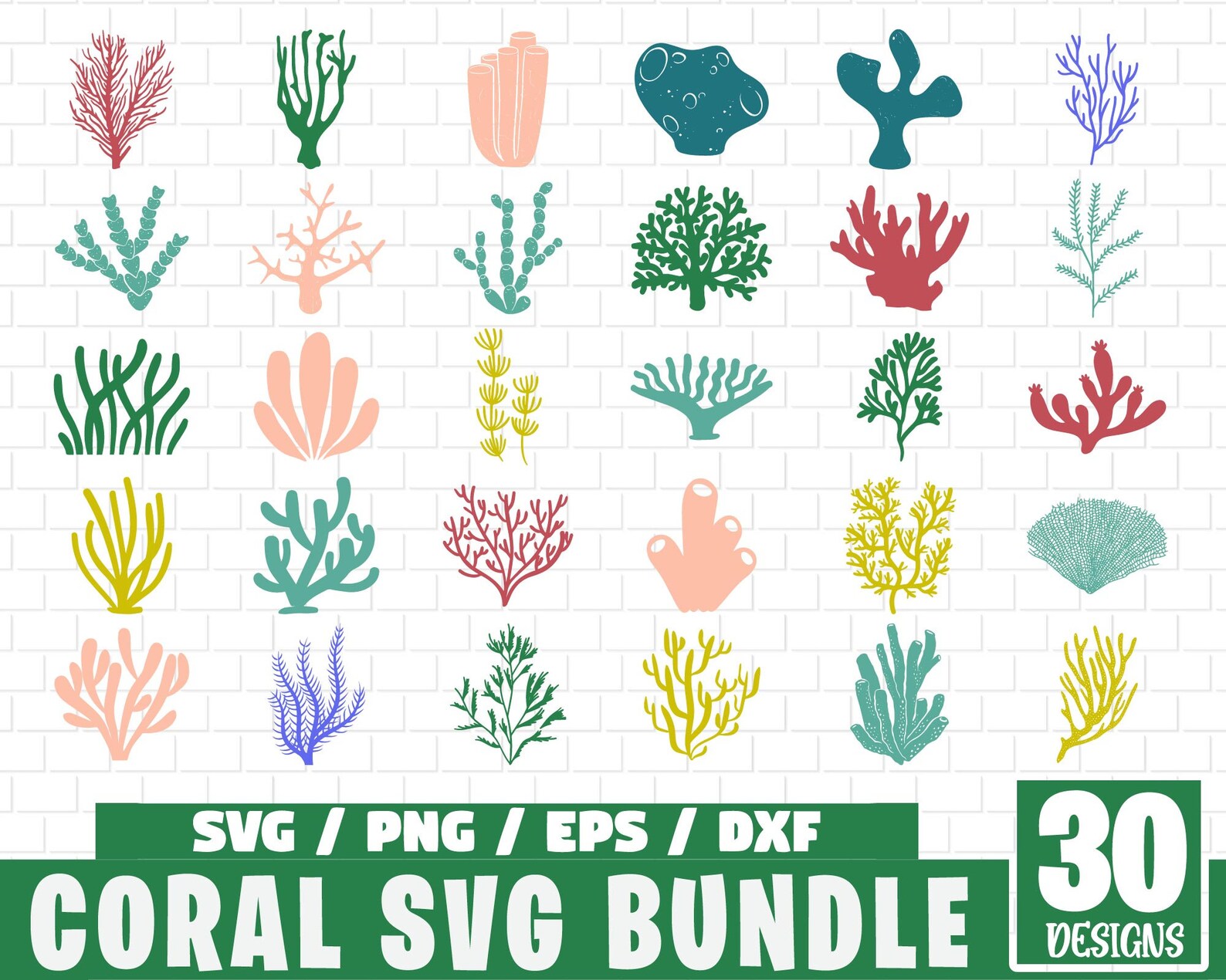 Coral SVG Bundle Seaweed Svg Bundle under the Sea Plants - Etsy UK
