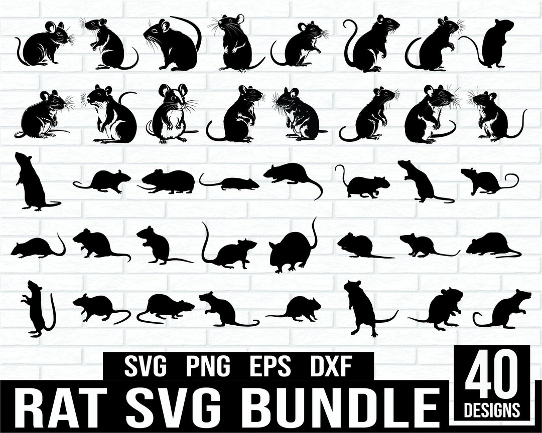 Rat SVG Bundle, Rats Svg, Rat Dxf, Rat Png, Rat Eps, Rat Vector, Rat ...