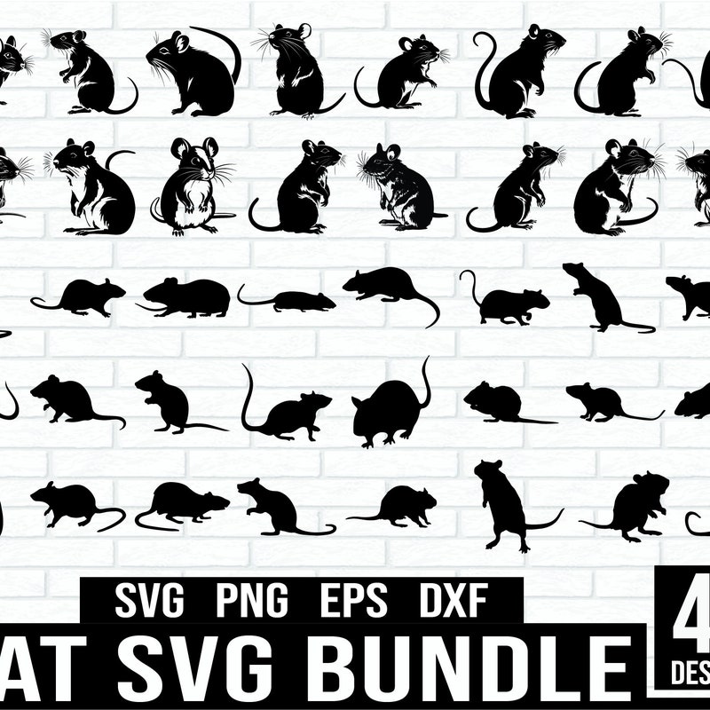 Mouse Rat Svg - Etsy