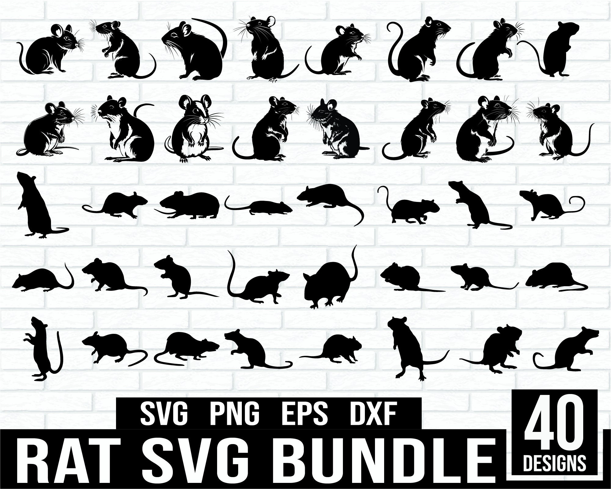 Paquete SVG de rata, Ratas svg, Rata dxf, Rata png, Rata eps, Vector de ...