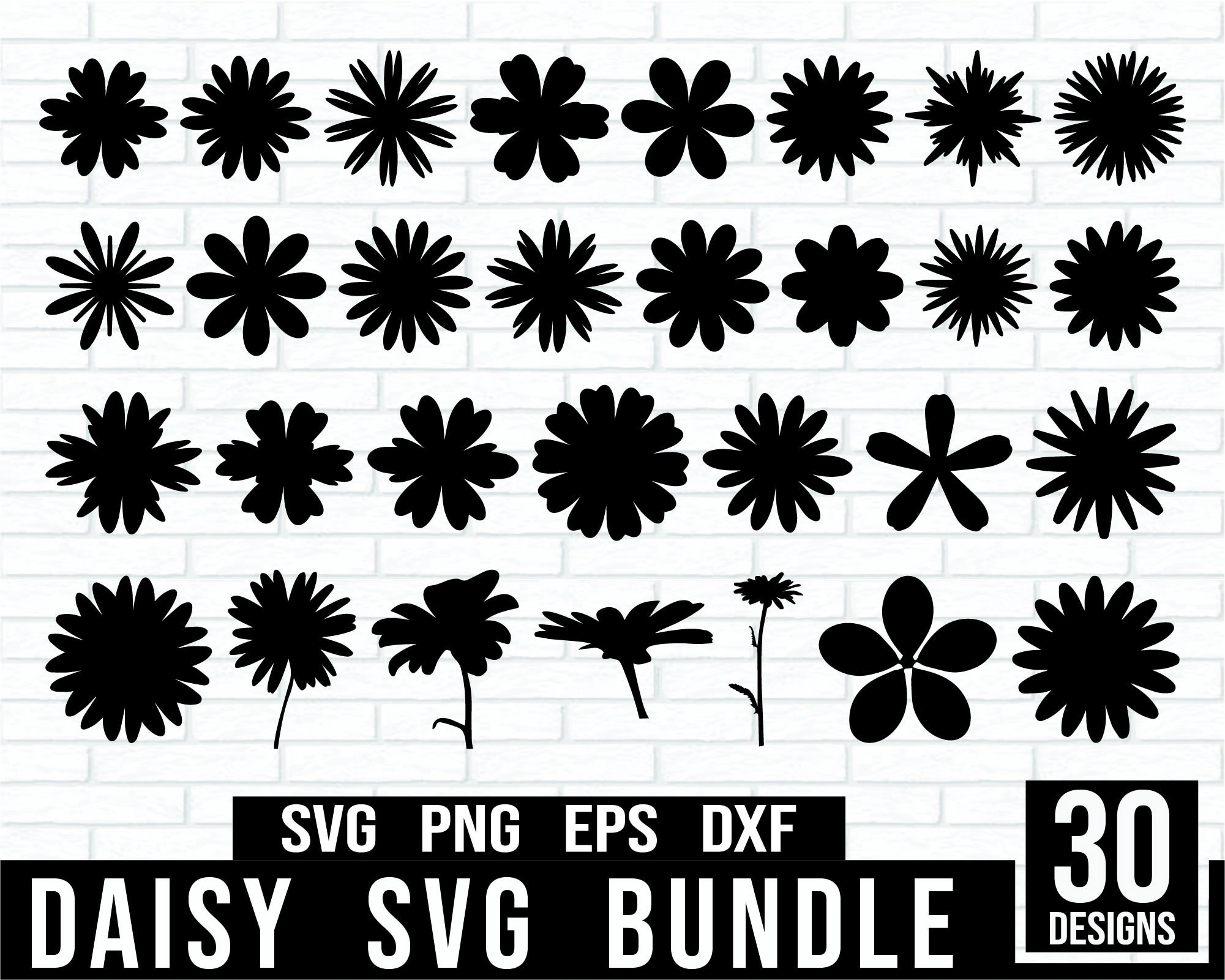 Daisy SVG Bundle Daisy Flower Svg Files for Cricut Flower - Etsy