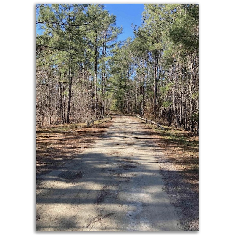 Longs South Carolina Path Poster - Etsy