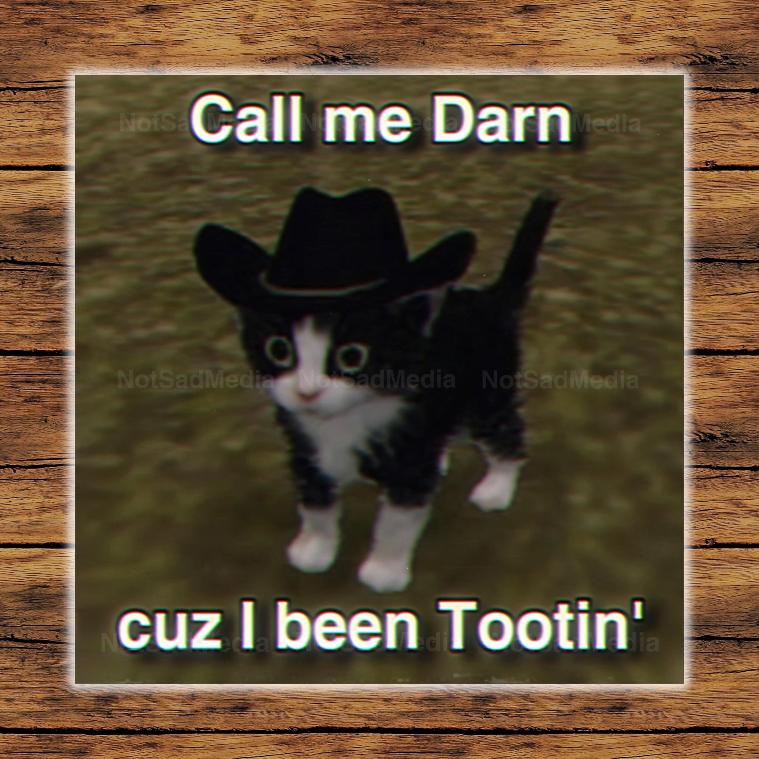 Call Me Darn Cuz I Been Tootin' | Low Poly Cowboy Cat Sticker - Etsy