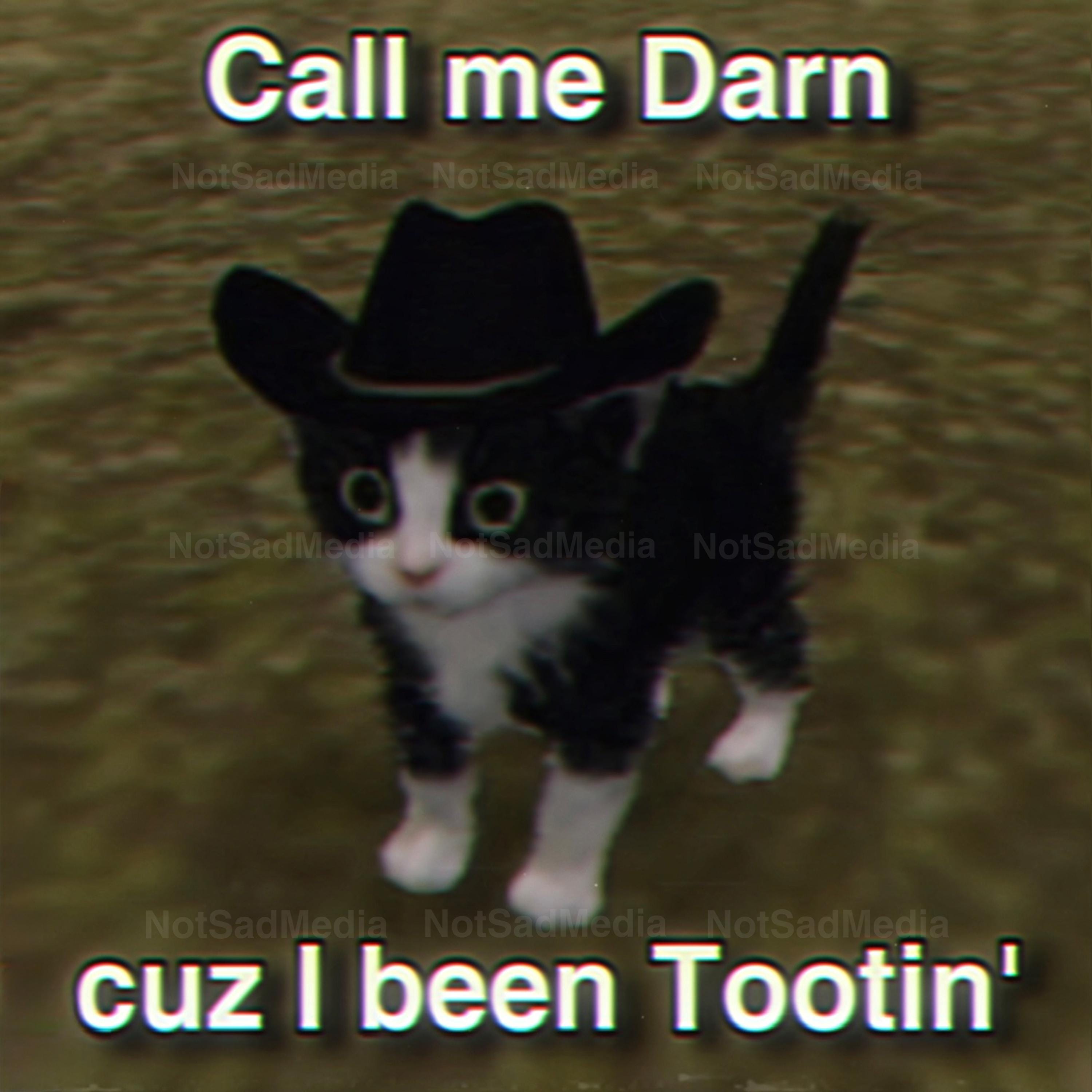 Call Me Darn Cuz I Been Tootin' | Low Poly Cowboy Cat Sticker - Etsy