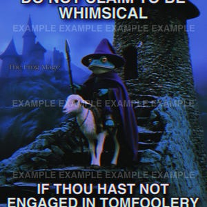 Do Not Claim to Be Whimsical | the Frog Mage Meme 8x10 Print - Etsy