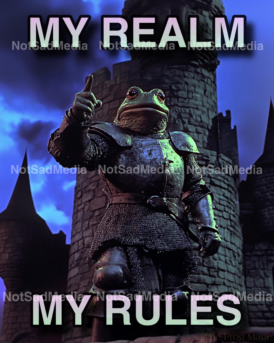 My Realm My Rules the Frog Mage Meme 8x10 Print - Etsy