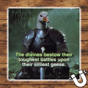The Divines Bestow Their Toughest Battles | the Frog Mage | Goose ...