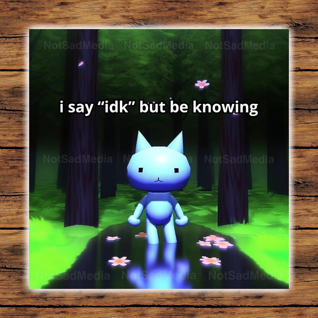 I Say "idk" but Be Knowing Cat Meme Sticker - Etsy
