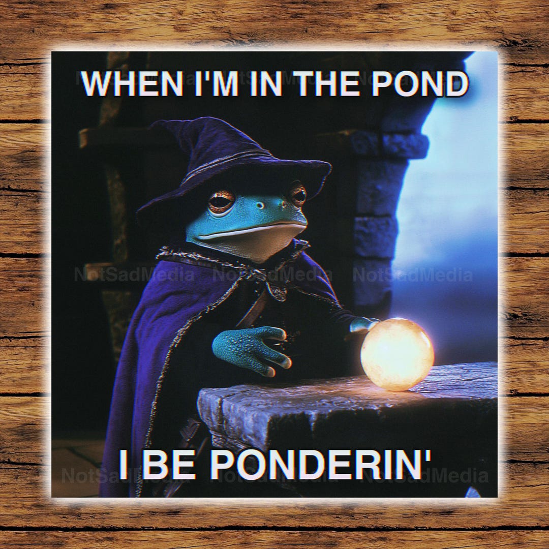When I’m in the Pond I Be Ponderin’ | the Frog Mage Sticker - Etsy