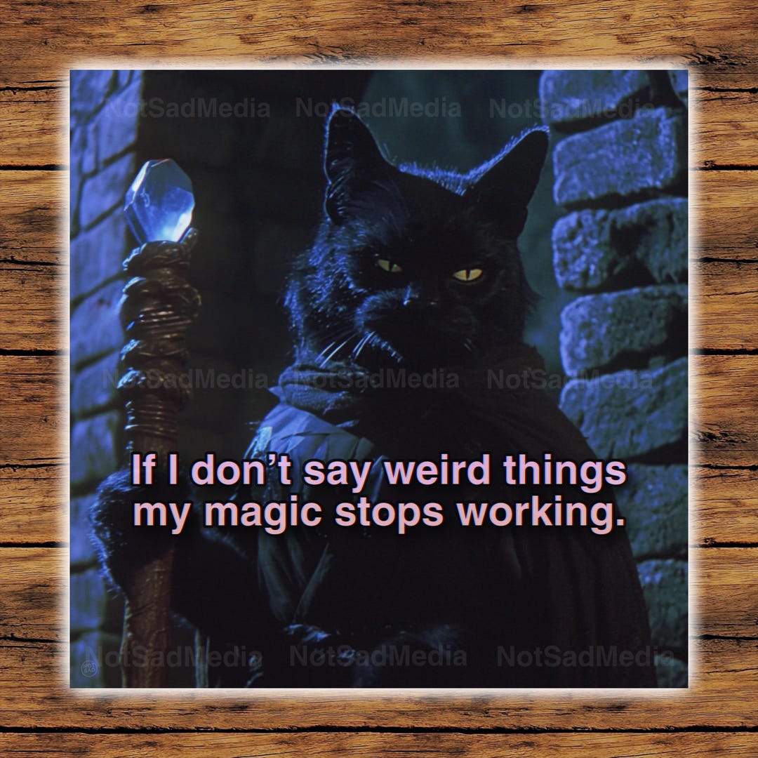 If I Don't Say Weird Things My Magic Stops Working | Cat Wizard Meme ...