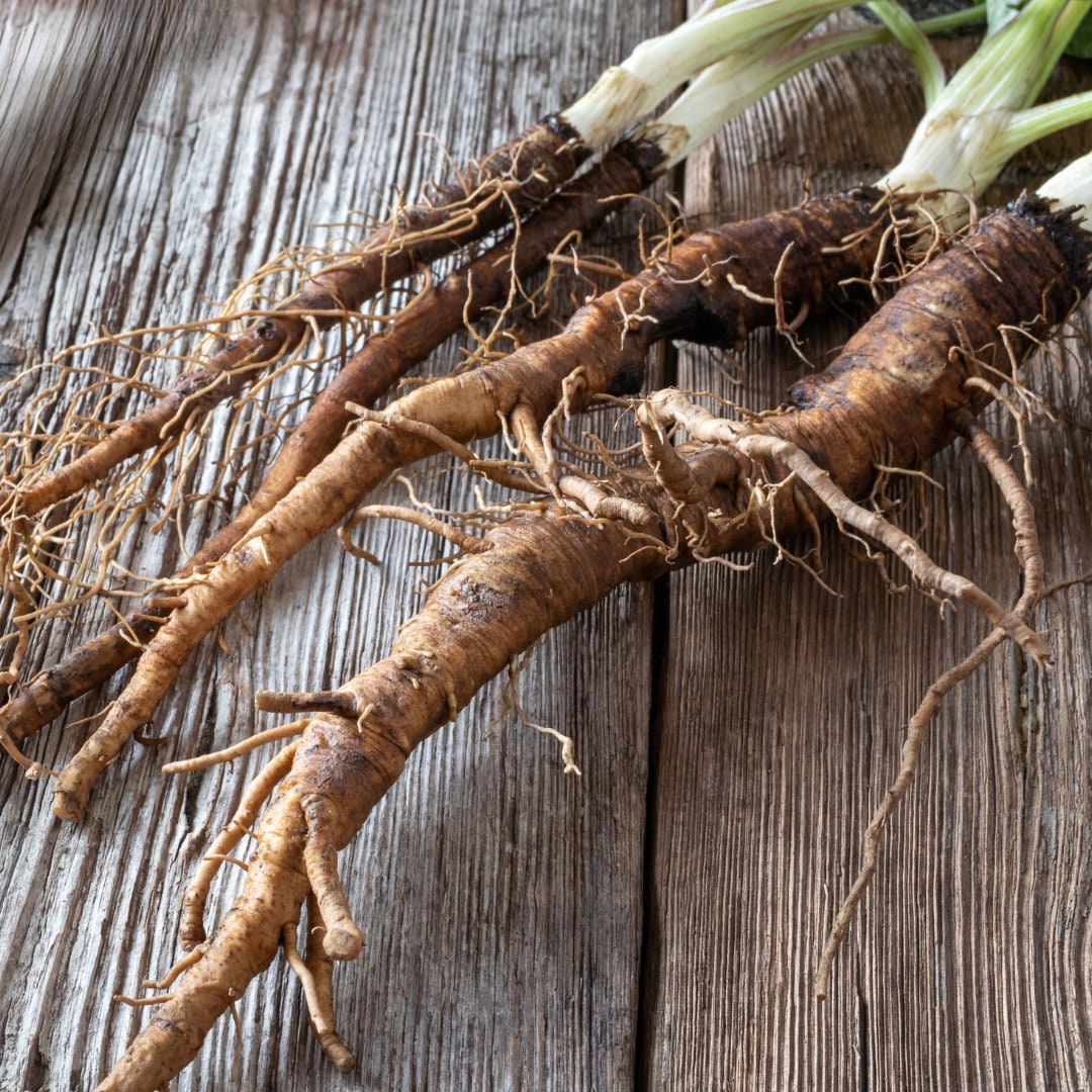 Burdock Root Dried Root Cleansing Tea - Etsy