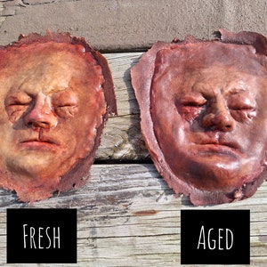 Skinned Face Wall Hanger barry Horror SFX Prop, Halloween Décor, Ed ...