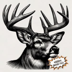 Detailed Deer Head SVG: Whitetail Buck Vector Cut File (digital ...