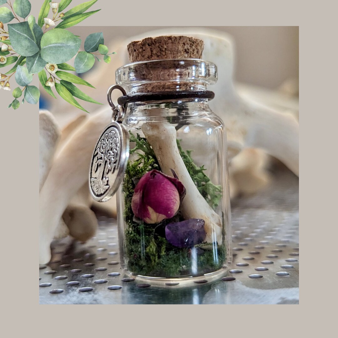 Small Oddities Jar - Etsy