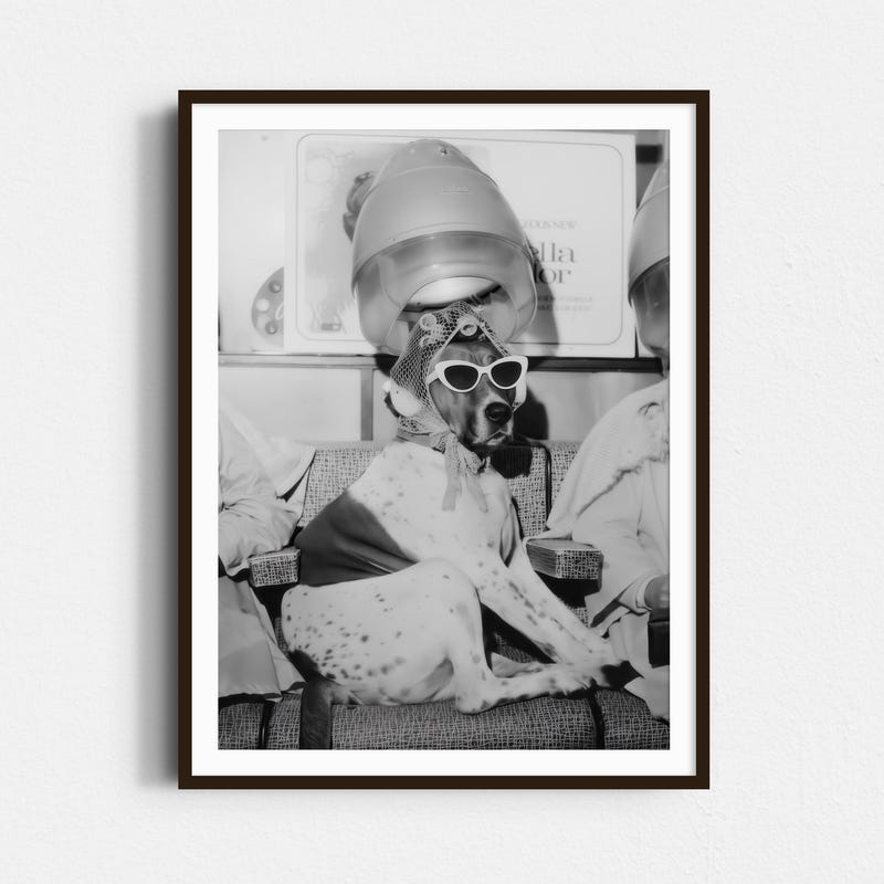 Black Posters for Salon - Etsy UK