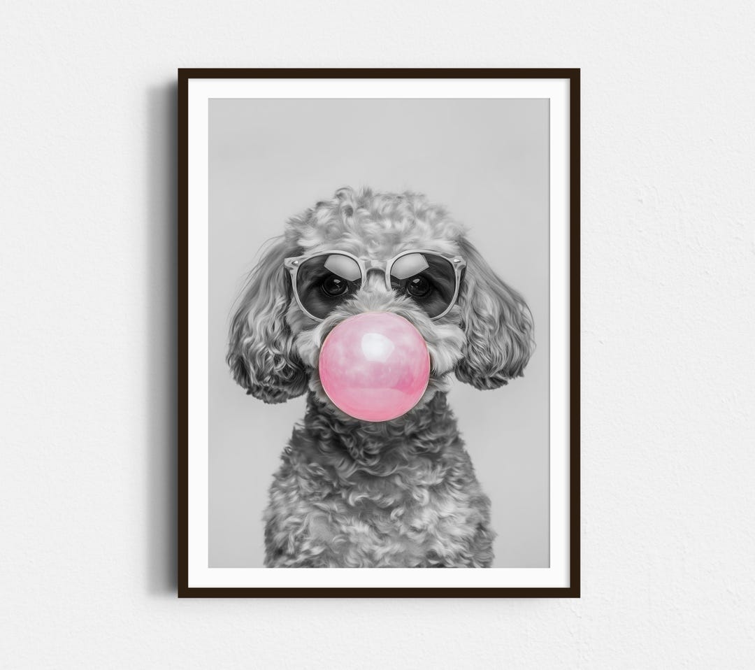 Cavapoo Pink Bubble Gum Print, Black and White Print, Pink Decor, Dog ...