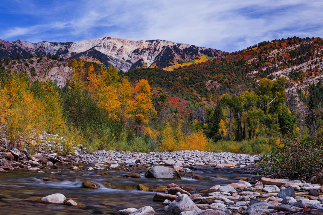 Kebler Pass Splendid Fall Colors Colorado Mountains Autumn Foliage ...
