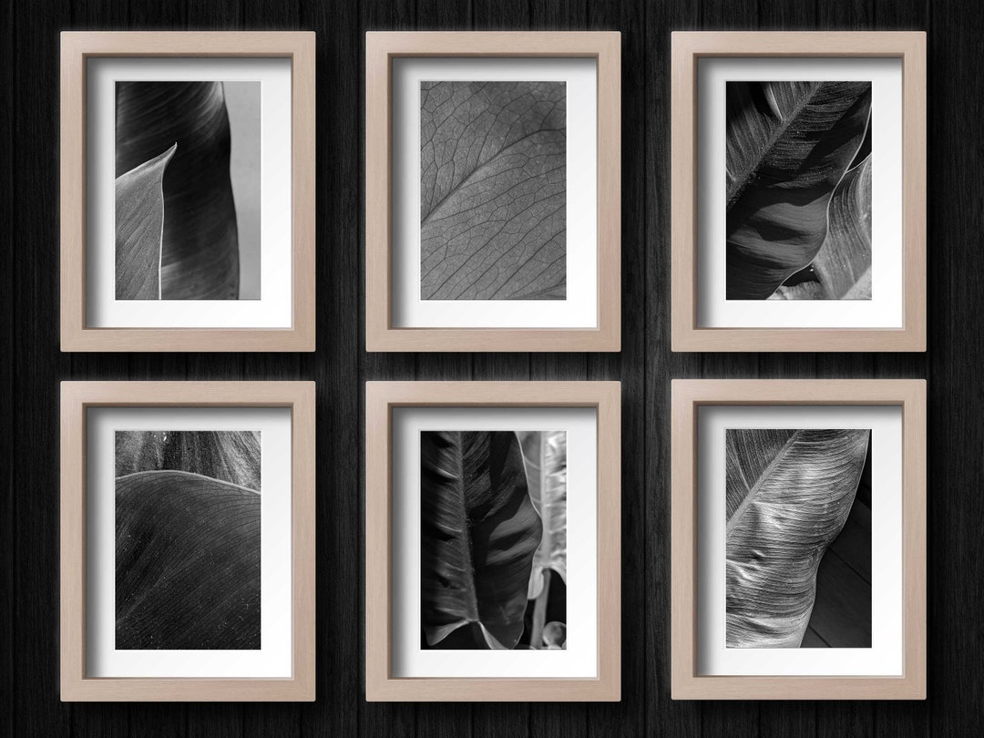 Leaves B&W Set of Six Photographs Instant Download - Etsy