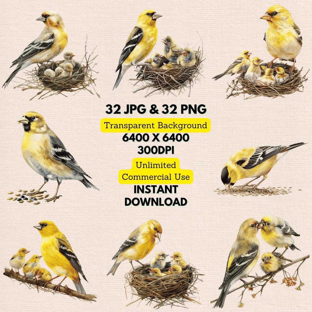 Watercolor American Goldfinch Mother Spinus Tristis Nestlings ...