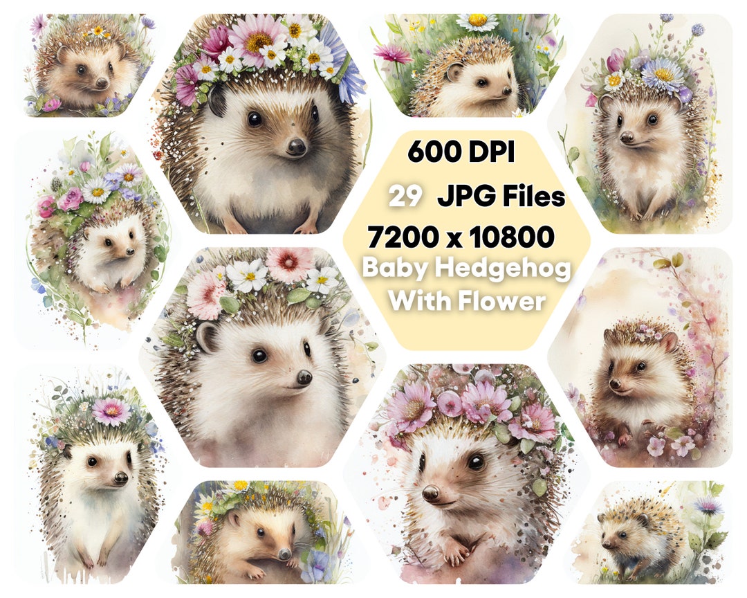 Baby Hedgehog Watercolor Clipart Bundle, Cute Animal JPG, Instant ...