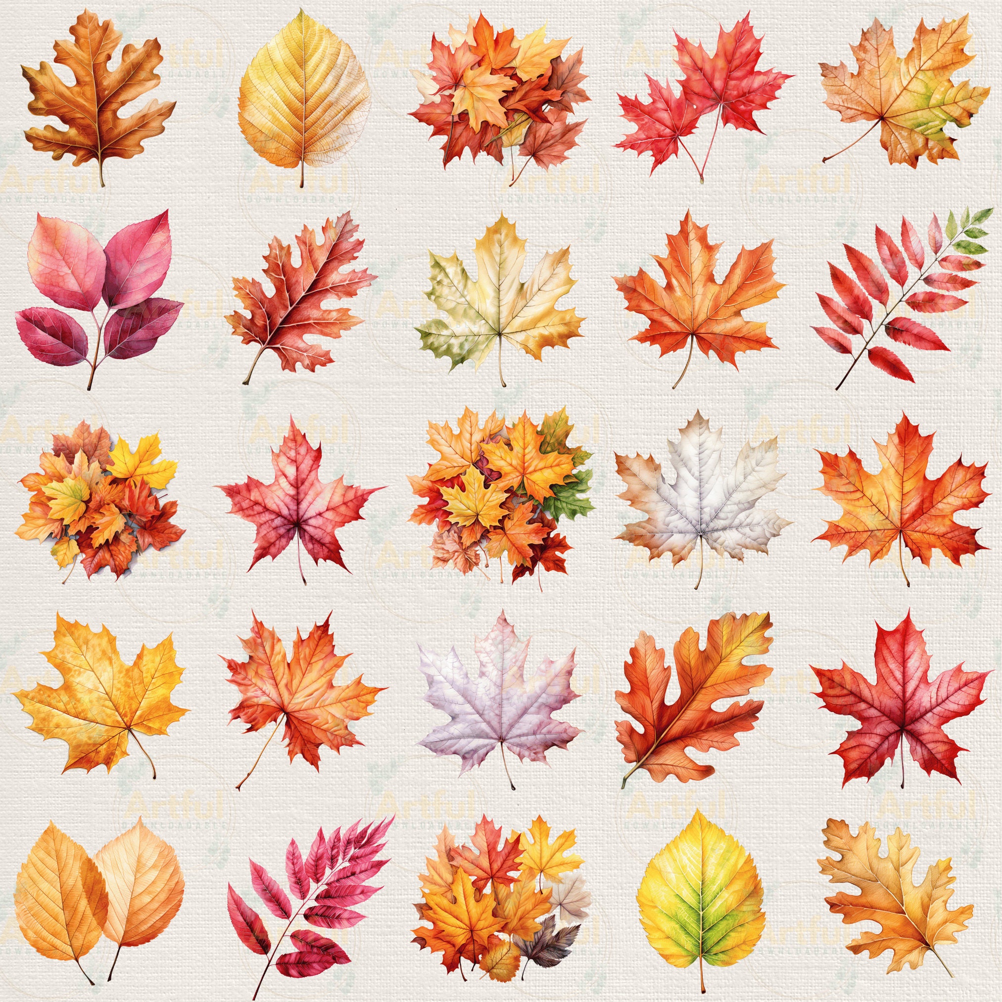 Autumn Leaves Watercolor Clipart PNG JPG Bundle Instant - Etsy