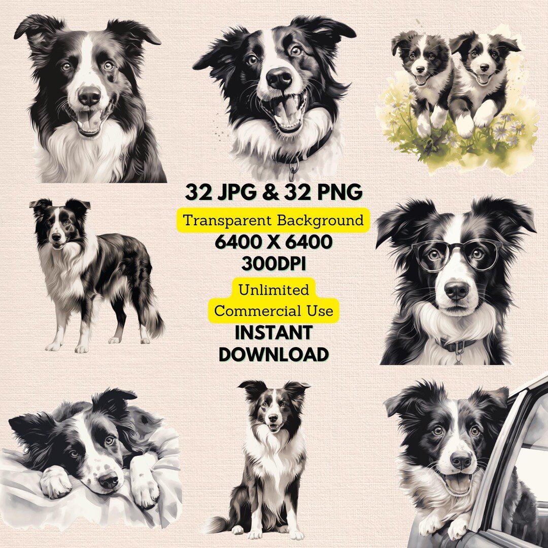 Border Collie Watercolor Clipart Bundle DIY Birthday Invitation Card ...