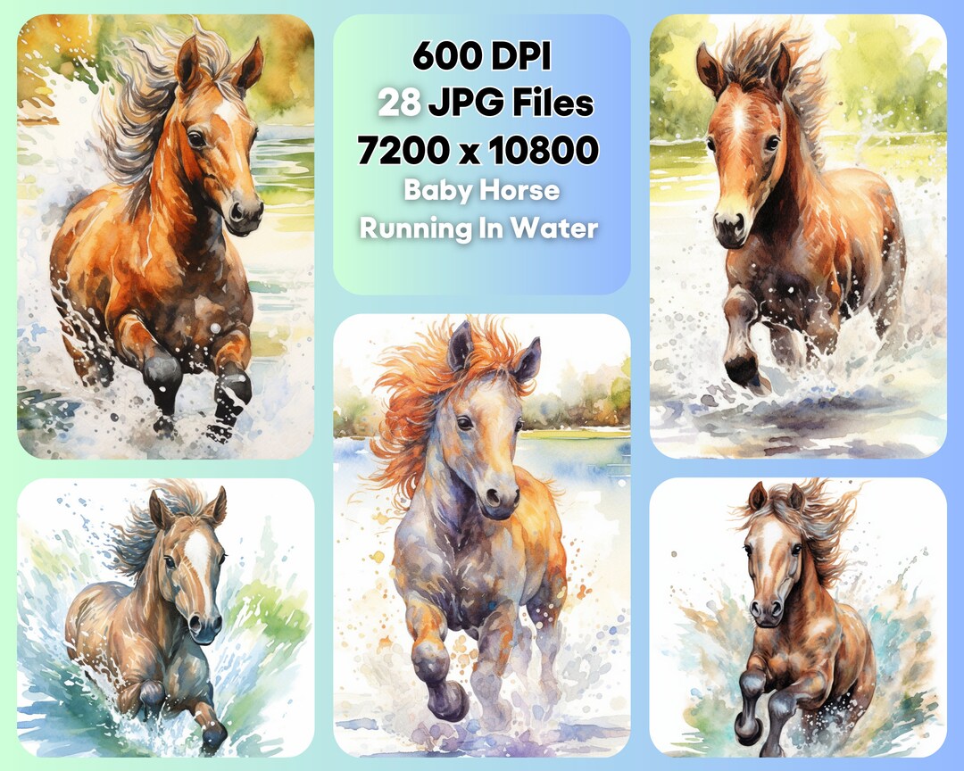 Baby Horse Running in Water Watercolor Clipart Bundle, Cute Animal JPG ...