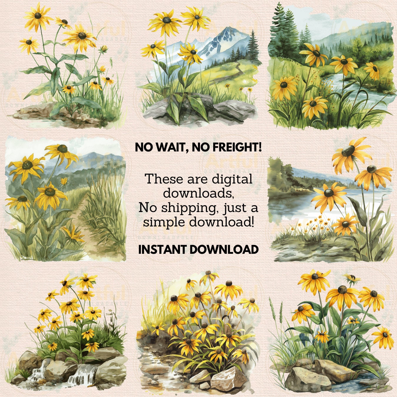 Watercolor Black Eye Susan Nature Scenes Clipart PNG Bundle Instant ...
