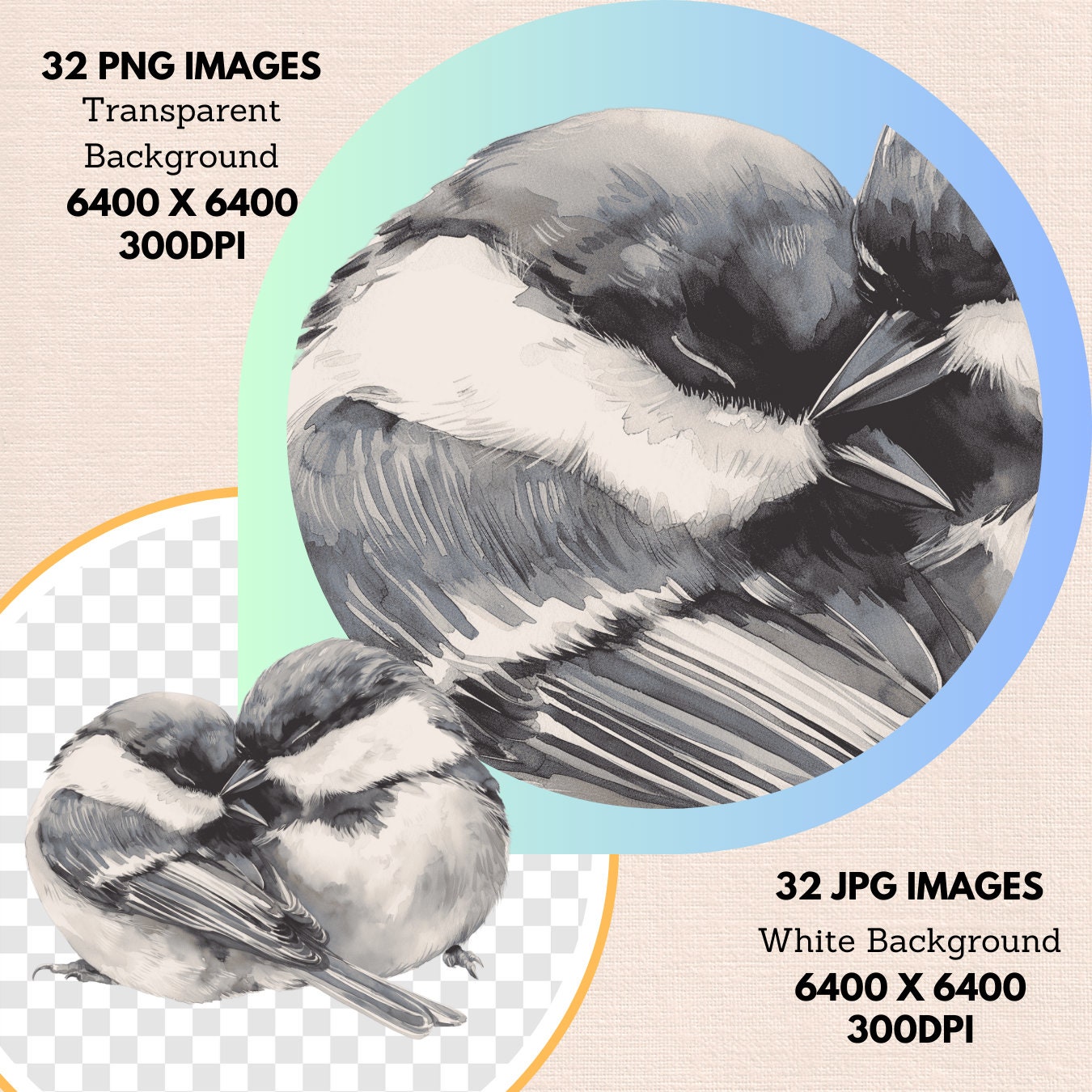 Watercolor Black Capped Chickadees Couple Pair Resting Sleeping Clipart ...