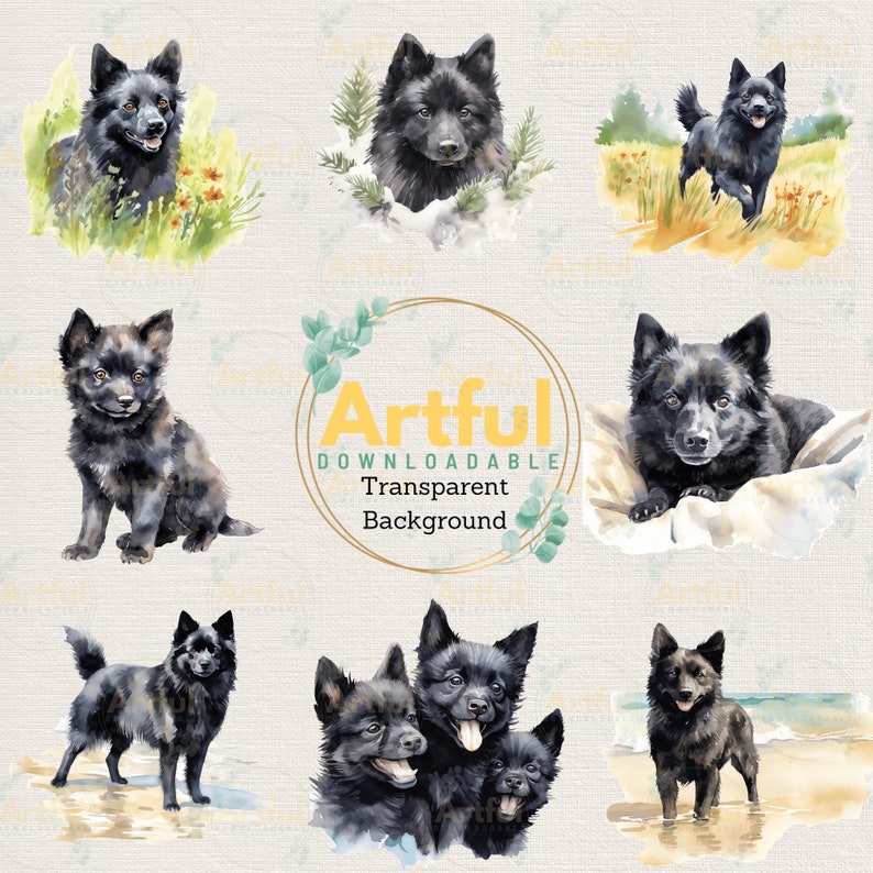 Schipperke Watercolor Clipart PNG JPG Bundle Instant Digital Download ...