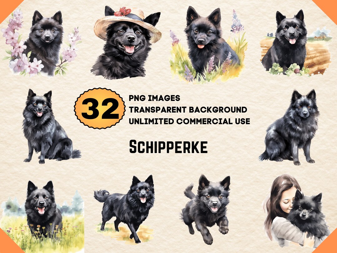 Schipperke Watercolor Clipart PNG JPG Bundle Instant Digital Download ...