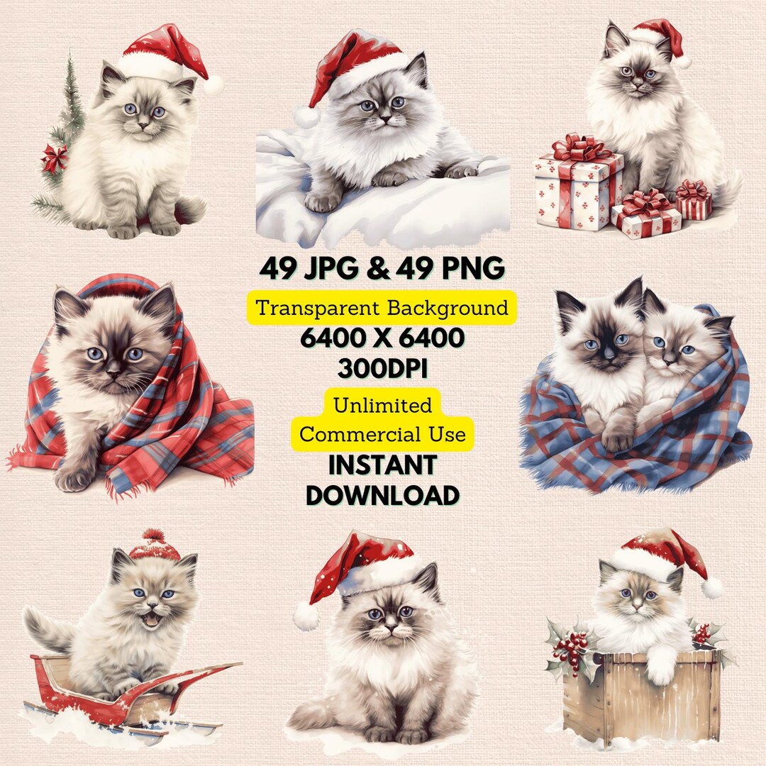 Cute Christmas Birman Kittens Cat Breed Watercolor Clipart PNG JPG ...