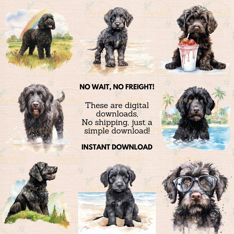 Black Labradoodle Watercolor Clipart PNG JPG Bundle Instant Digital ...
